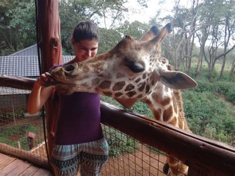 Giraffic Park Nairobi Foto Malawi