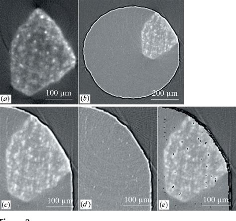 Figure 1 From High Resolution Three Dimensional Mapping Of Individual