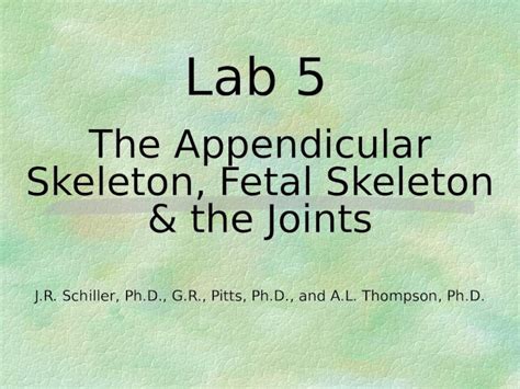 PPTX Lab 5 The Appendicular Skeleton Fetal Skeleton The Joints J R Schiller Ph D G R