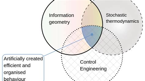 Unlocking Efficient Control In Nonlinear Systems The Power Of Information Geometry And The