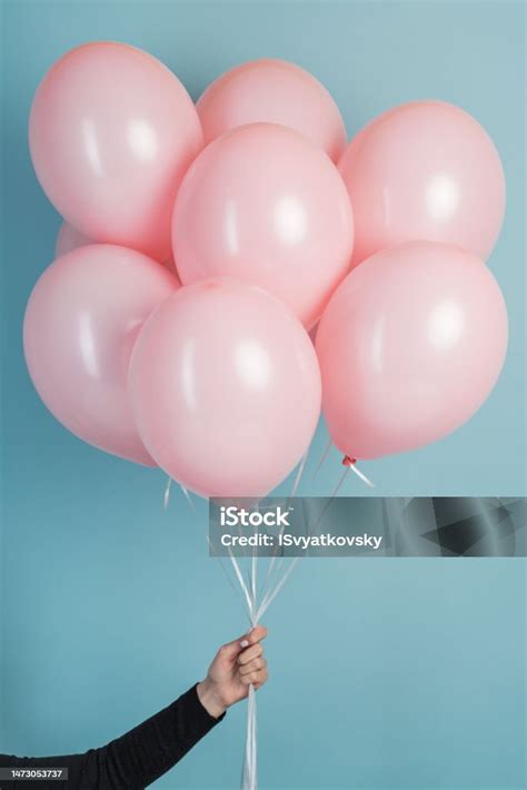 파란 배경에 고립 된 사람의 손에 분홍색 공기 비행 풍선 많은 분홍색 공기 풍선 여유 공간을 들고 셔츠에 남자 여름 휴일 축하 생일 및 라이프 스타일 컨셉 가득 찬에 대한