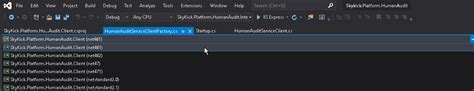 Allow Choosing The Target Framework Issue Dotnet Vscode