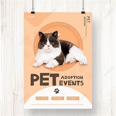 Orange Pet Cat Adoption Promotion Poster Template Download On Pngtree