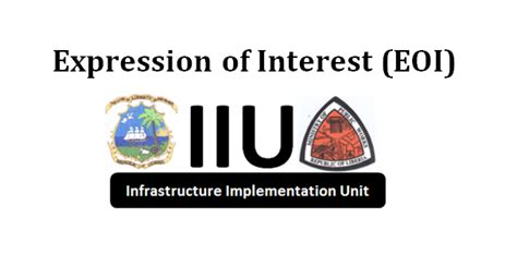 Iiu Infrastructure Implementation Unit