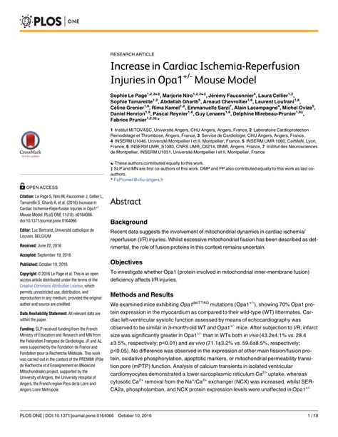 Pdf Increase In Cardiac Ischemia Reperfusion Injuries In Opa1