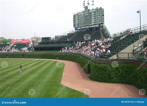 Wrigley Field Chicago Cubs Bleachers And Ivy Editorial Photo Image