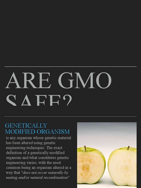 Are Gmo Safe Pdf Genetic Engineering Genetically Modified Organism