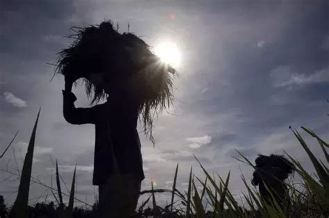 Sector Of Labour Exploitation Agriculture Ctdc