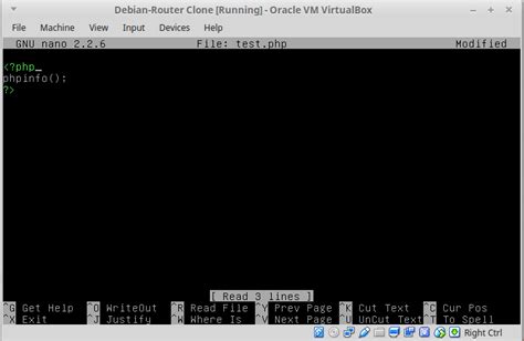 routing to debian router in virtualbox and web server on engine x