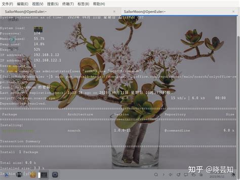 如何在国产openeuler操作系统上安装onlyoffice桌面编辑器v7 4版本 知乎