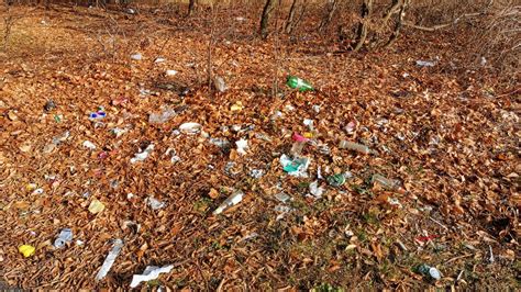 Природен парк Шуменско плато