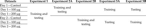 A Summary Of The Design Of In Silico Neural Network Experiments 1 3 Download Scientific Diagram