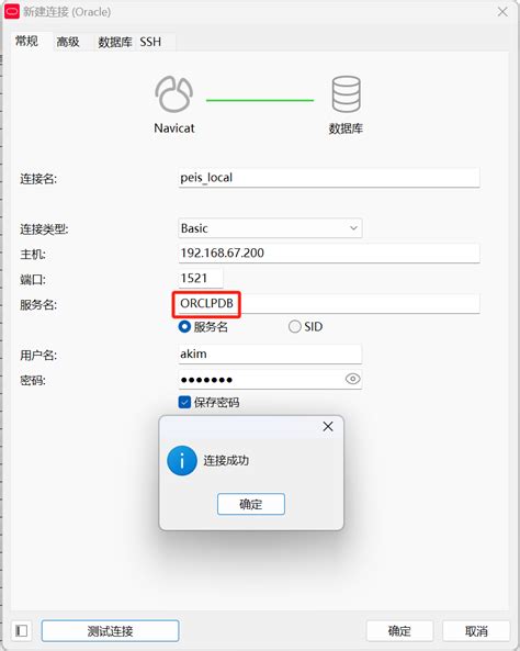 Docker 安装 Oracle 19c 稷然如此