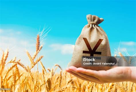 밀밭과 중국 위안 또는 일본 엔 돈 가방 곡물과 곡물 적자 가축 사료 농업 산업 및 농업 사업 세계 식량 안보 세계의 굶주림