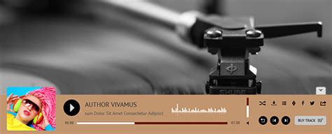 9 Best Html5 Audio Player Jquery Plugins Zoom Inout Sliders Full