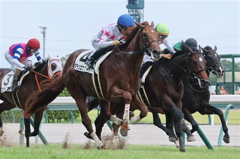 【新馬戦】マテンロウゴールド 中団追走から差し切りv 新種牡馬レイデオロ産駒初勝利 競馬ニュース Netkeiba