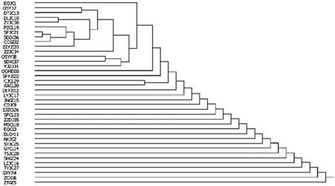 Hierarchical Cluster Dendrogram Of Individual Nodes Download