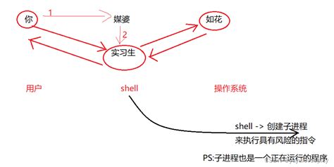 一个生动的例子让你理解linux的shell外壳shell外壳是什么 Csdn博客 一个生动的例子让你理解linux的shell外壳shell外壳是什么 Csdn博客