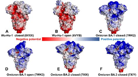 The Distribution Of The Electrostatic Potentials Calculated With The Download Scientific