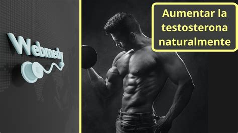 Aumente La Testosterona De Forma Natural Los 5 Mejores Métodos