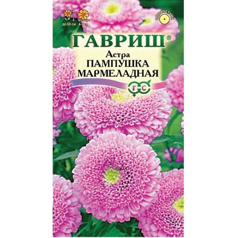 Купить Астра помпонная Пампушка мармеладная - Семена в интернет ...