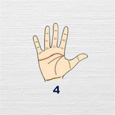 What The Heart Lines On Your Palm Reveal About Your Personality YourTango