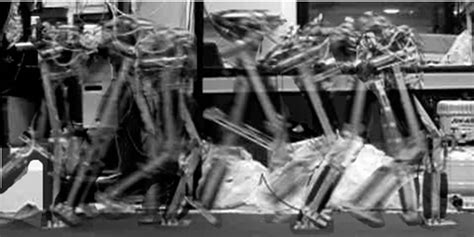 Figure 1 From Biped Robot Design Powered By Antagonistic Pneumatic Actuators For Multi Modal