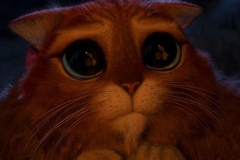 Cat Shrek Meme