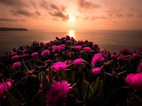 Когда ты будешь ценить то что у тебя есть а не жить в поиске идеалов тогда ты по настоящему