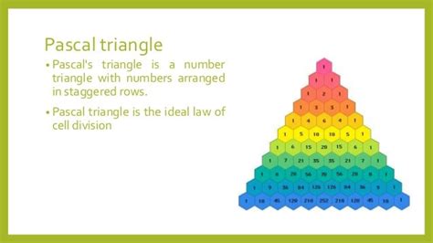 Cell Division And Pascal Triangle