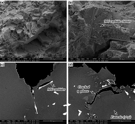 The Fracture Morphology And Longitudinal Section Microstructure Of