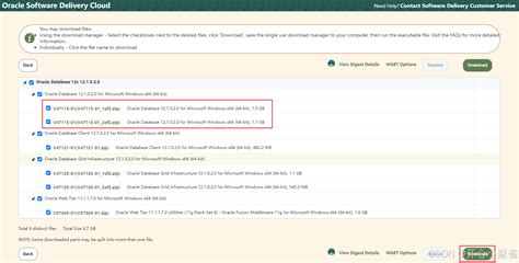 01 Oracle自学环境搭建（windows系统）windows搭建oracle数据库 Csdn博客