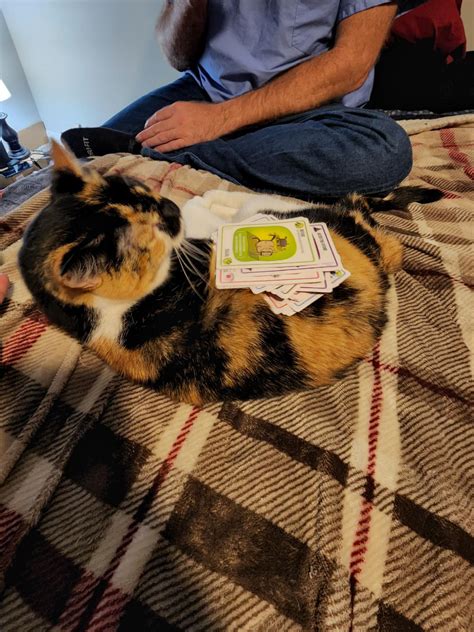 Be Sure To Defuse Your Table Rexplodingkittens