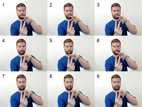 Asl Sign Partner American Sign Language Asl Video Dictionary Partner