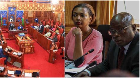 Moses Kajwang Other Senators Elected To Chair Powerful House