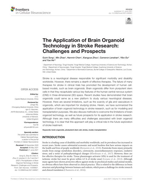 Pdf The Application Of Brain Organoid Technology In Stroke Research Challenges And Prospects