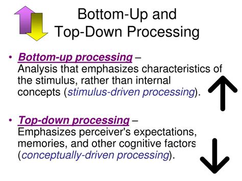 Ppt Chapter 4 Sensation And Perception Powerpoint Presentation Id6345266