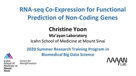 Mount Sinai Center For Bioinformatics Icahn School Of Medicine