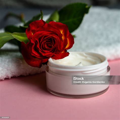 아름 다운 장미와 파스텔 배경에 항아리에 케어 크림 노화 방지 크림 스킨 케어 크림 손을 위해 얼굴에 관리를위한 화장품 크림과 장미 0명에 대한 스톡 사진 및 기타 이미지