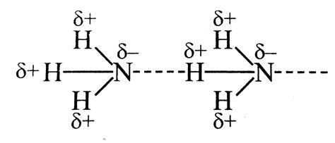 Why Does Nh3 Form Hydrogen Bond But Ph3 Does Not