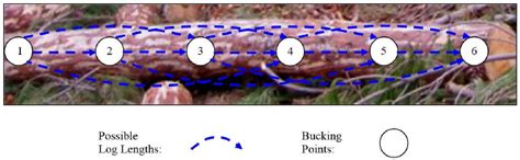 Network System Of A Sample Tree In Optimum Bucking Algorithm Şekil 2 Download Scientific