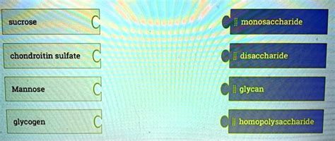 Solved Sucrose Monosaccharide Chondroitin Sulfate Disaccharide Mannose