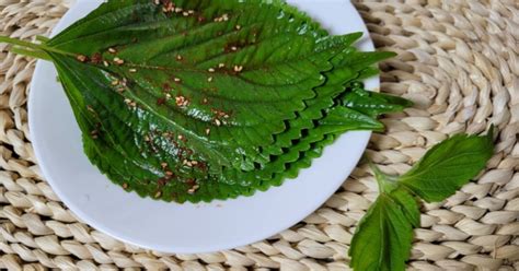 생 깻잎 간장양념 반찬