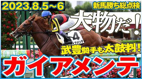 【新馬勝ち総点検】ドゥラ産駒大物現る！ガイアメンテ！《東スポ競馬》 Youtube