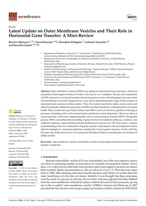 Pdf Latest Update On Outer Membrane Vesicles And Their Role In