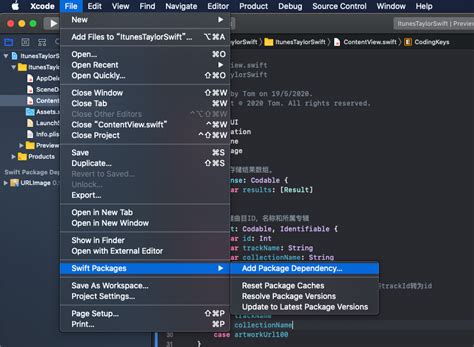 Lottie动画swiftui教程（cocoapods And Spm）lottie Swiftui Csdn博客