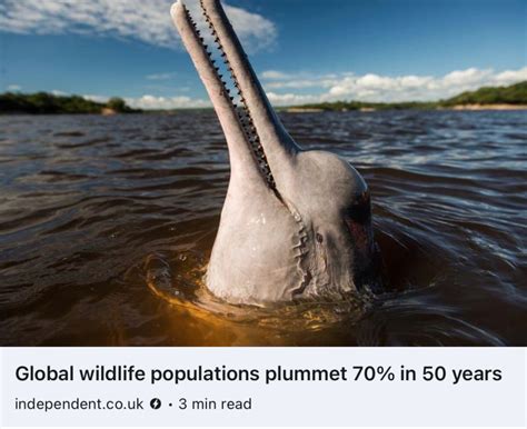 Santhosh K Posted On Linkedin