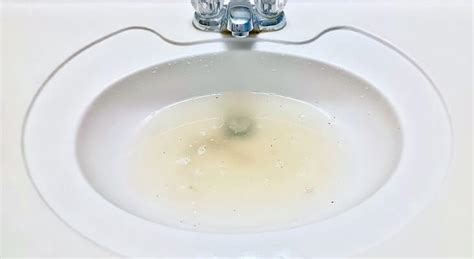 Signs Your Drainage System Needs Repair Greenstar Services