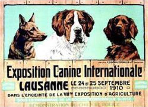 Oude Hondenexpo Affiches Anciennes Affiches D Expositions Canine