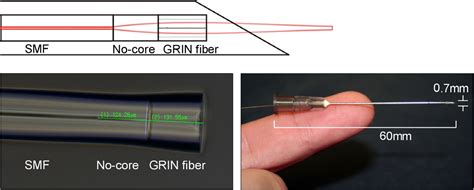 Clinical Applications Of Fiber Optic Probes In Optical Coherence